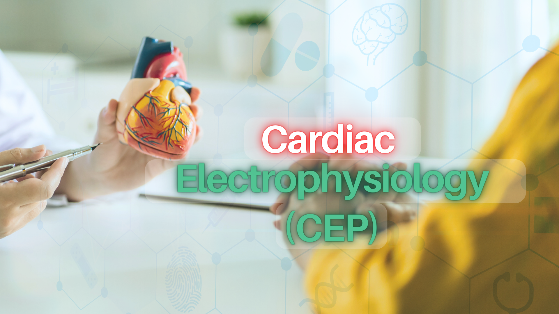 Cardiac Electrophysiology