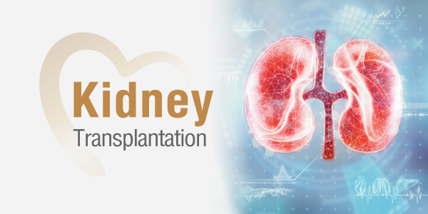Kidney Transplant